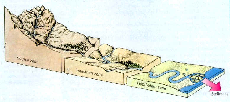 Coastal Sand Dunes Case Study Stockton